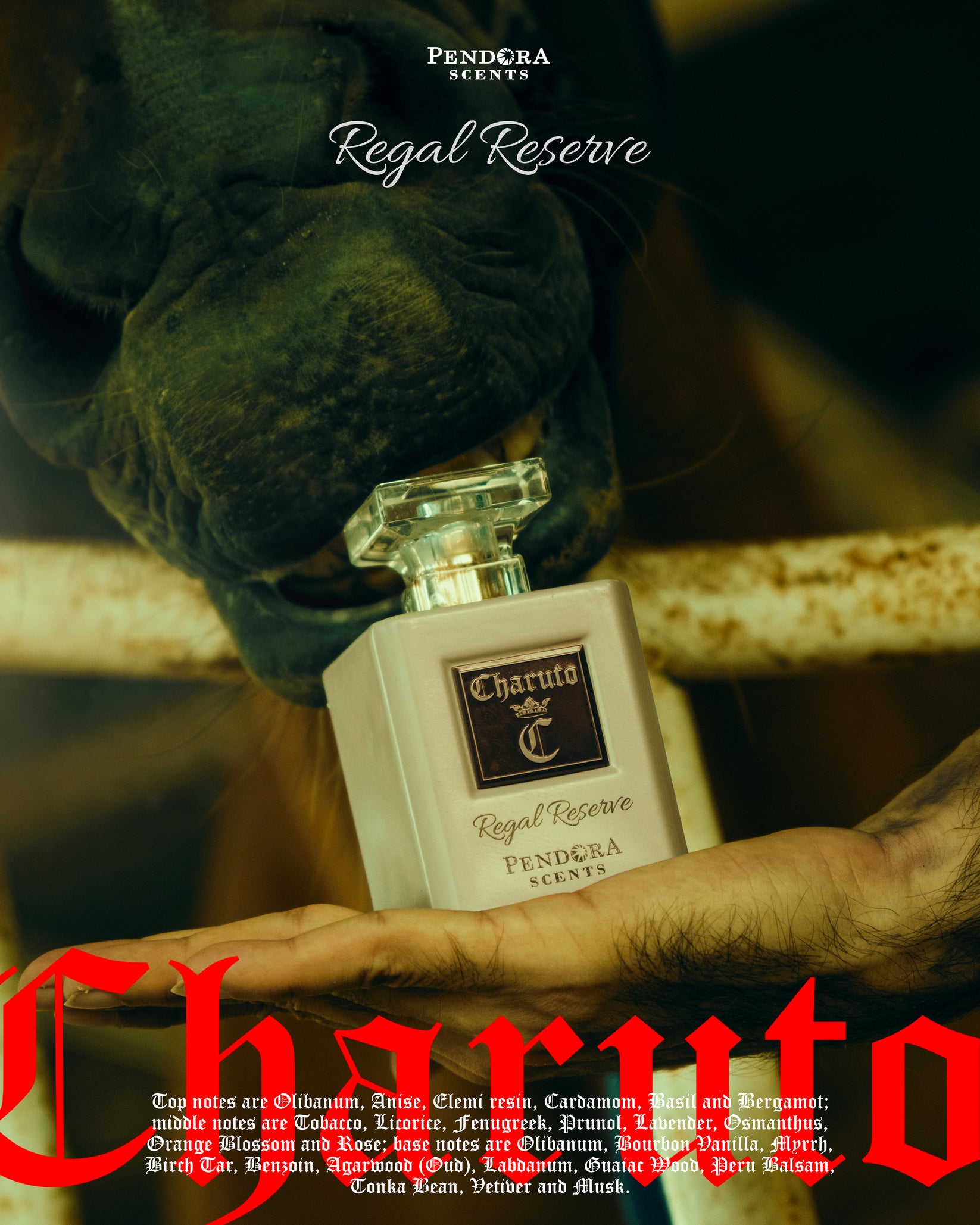 CHARUTO REGAL RESERVE – PARIS CORNER