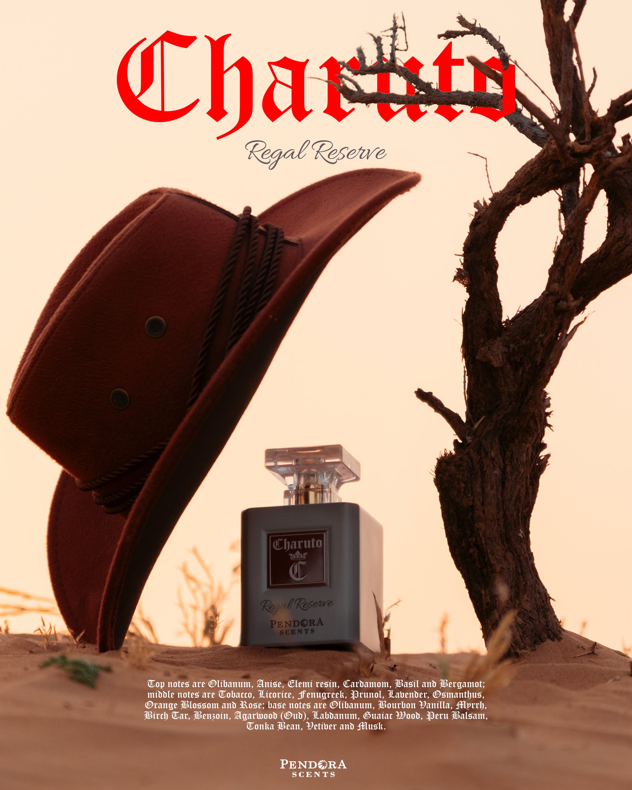 CHARUTO REGAL RESERVE – PARIS CORNER