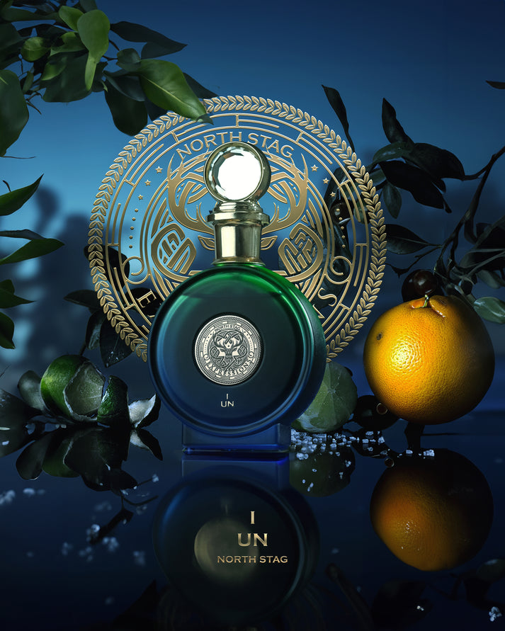 UN I EXPRESSIONS , NORTH STAG – PARIS CORNER